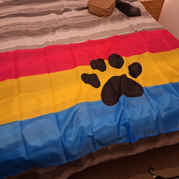Choose Your Aroace Pride Wall Flags | All-over-print | 5 Sizes ...