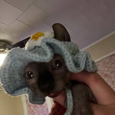 Adjustable Cute Crochet Soft Ribbon Kitten Collar Pet Costume Cat ...