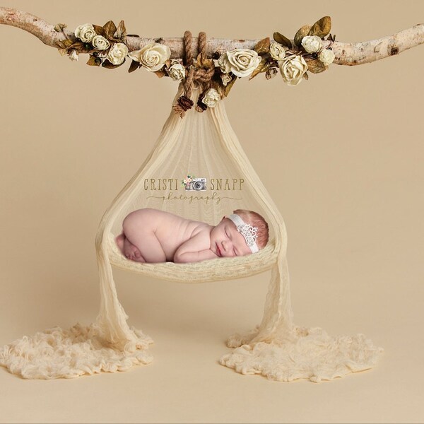 Digital Backdrop, Background Newborn Baby Girl Cream Hanging on a ...