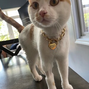 Chain Cat Collar Medium Cuban Link Cat Necklace Lightweight | Etsy