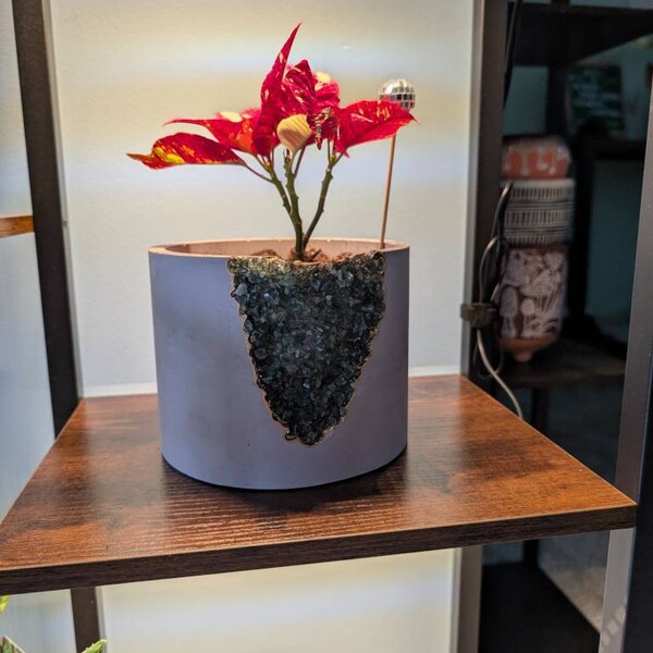 Amethyst Crystal Planter | Geode Planter Pot | Black Concrete Succulent ...