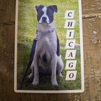 Custom Face Sticker, Photo Face Sticker, Personalized Face Sticker ...