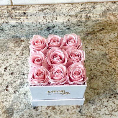 12 Preserved Roses in Ceramic White Vase / Dozen Forever Roses ...