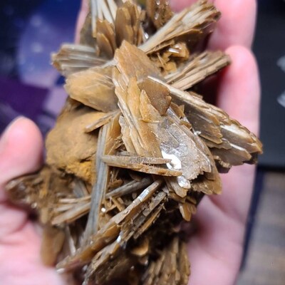 Complete Elemental Essential Oil Blend Set / Aether / Air / Water ...