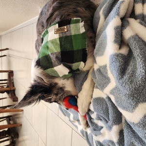 Huckleberry Dog Bandana summer, Spring, Rustic, Flowers, Floral, Summer ...