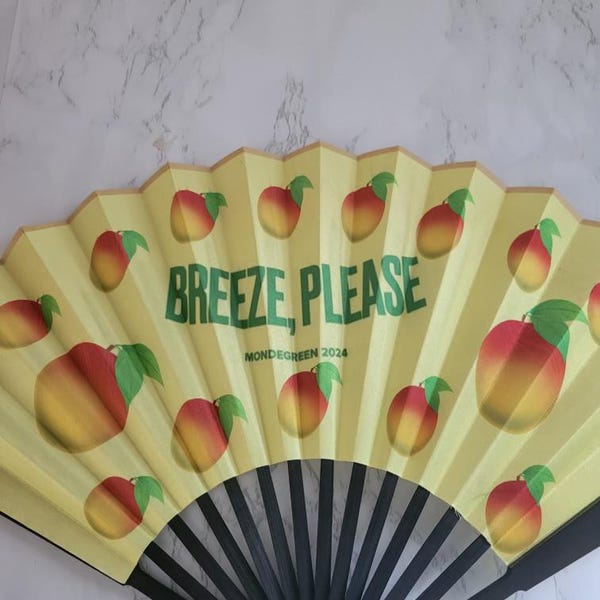 Custom Your Own Paper Fan, Custom Double Side Text and Photo, Folding ...