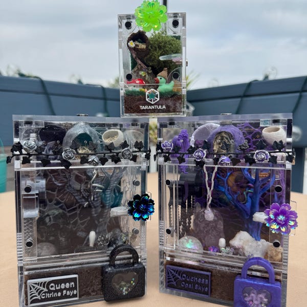 3D Printed UFO Spaceship Hide/decor Jumping Spider, Small Enclosure - Etsy