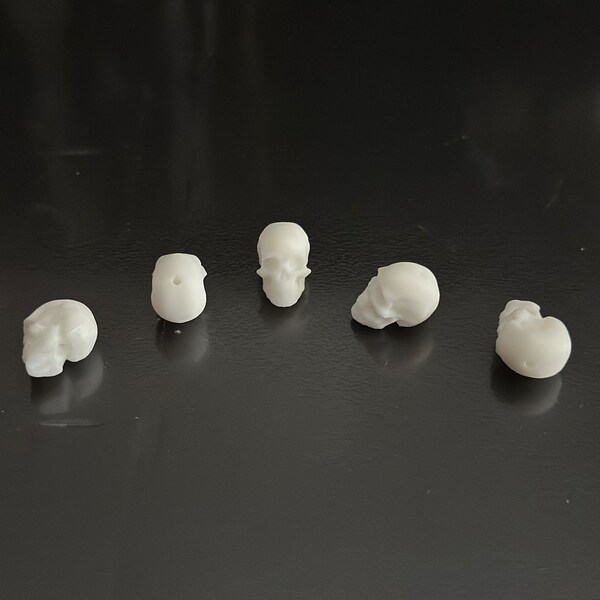 High Detail Human Skull Container Goth Storage Solution Skull Box Full ...