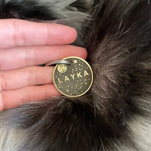 Luna Dog Tag Pet ID Tag Personalized Dog Tag Microchip Pet - Etsy