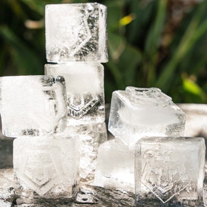 Custom Ice Mold Letter Ice Cubes Monogram Ice Mold - Etsy