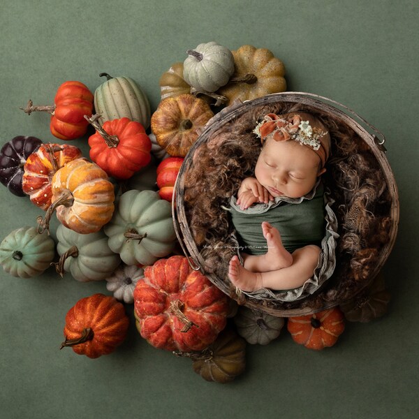 Fall Digital Backdrop, Newborn Baby Digital Backdrops, Digital ...