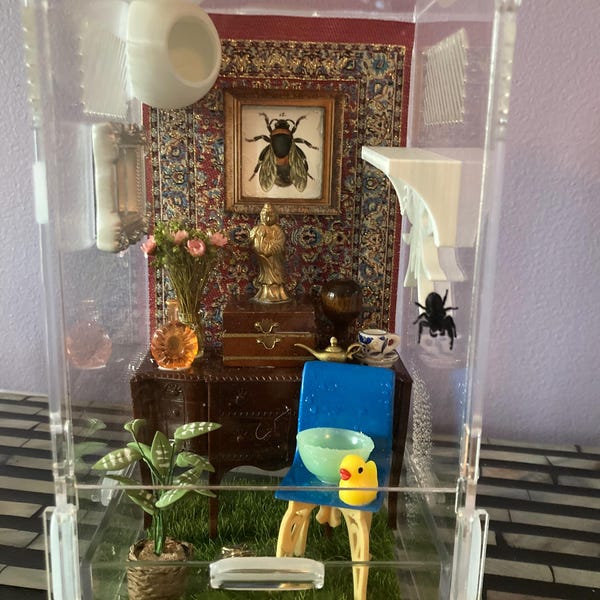 Picture Perfect Jumping Spider Enclosure Habitat,4x4x8, Jumping Spider ...