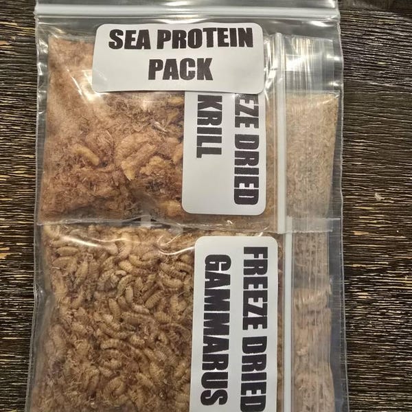 The Hermit Crab Shack Snack Pack | Hermit Crab Food - Etsy