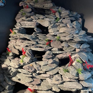 Slate Axolotl Hide Aquarium Reptiles Amphibians. | Etsy UK