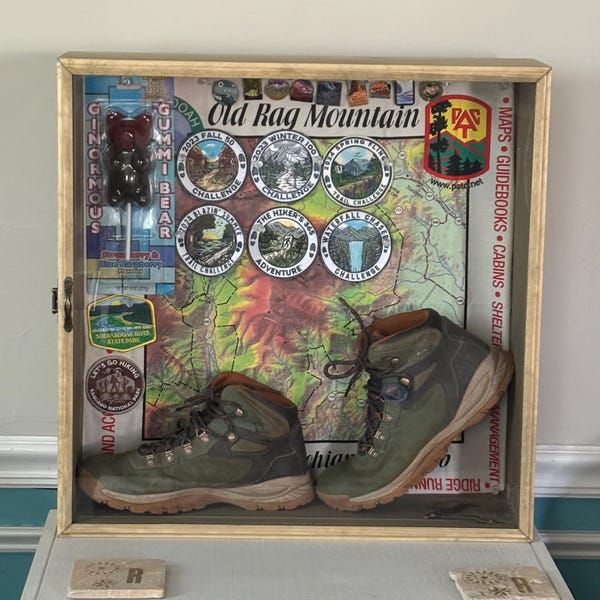 24x36 4 Custom Shadow Box With Lid, 5 Shelves, Wood Backing, Tempered ...