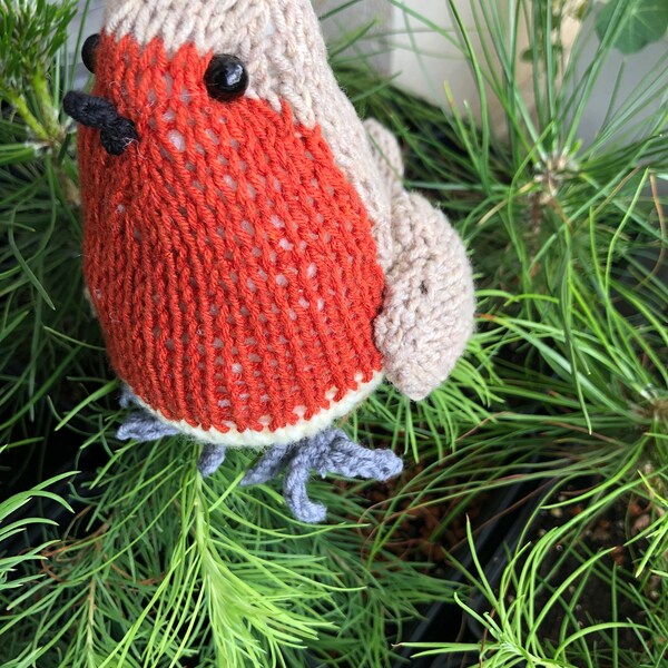 Albert the Robin Knitting Pattern - Easy Knit for Beginners - Etsy