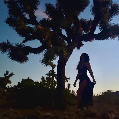 Festival Duster Skirt Wear Over Anything Skirt Cape Elven Forest ...