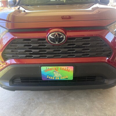 Cowboy Frog Front License Plate Country Frog Truck Tag Cute Purple Hat ...