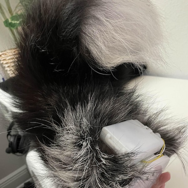 Blue Devil Dragon Fursuit Head,custom Fursuit Head,kenomo Theme Party ...