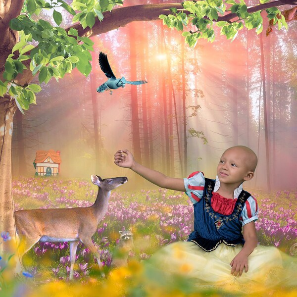 Reindeer Stables Digital Background/ Photoshop / Backdrop / Composite ...