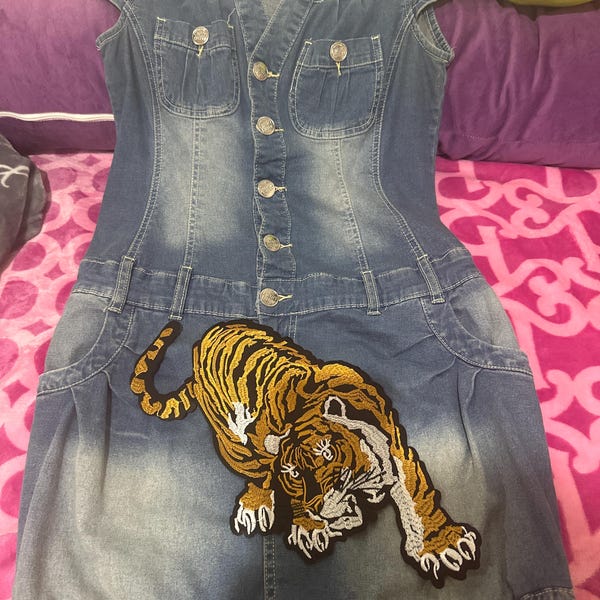 Meteorite Patch, Meteor Patch, Iron on Patch, Embroidered Patch ...