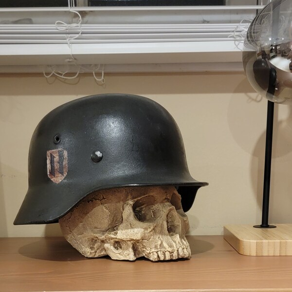 HUMAN SKULL REPLICA (polished Bone) Full Size Realistic Made From ...