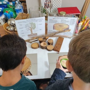 Butterfly Unit Study Bundle Charlotte Mason Nature Study Homeschool ...