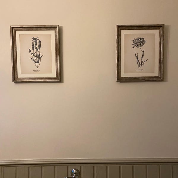8x10'' Vintage Botanical Prints Set of 8 Botanical Poster Wildflower ...