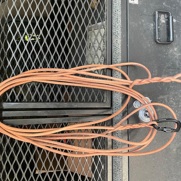 Long Lead Hanger, Biothane Leash Holder - Etsy