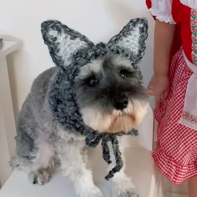 Fox or Wolf Dog Snood Foxy Halloween Costume Gift for - Etsy