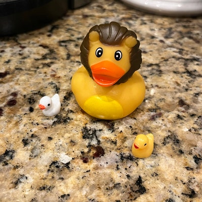 Pop, Soda, Duck, Cruising Duck, Cute Gift, Coca Cola Miniature, Custom ...