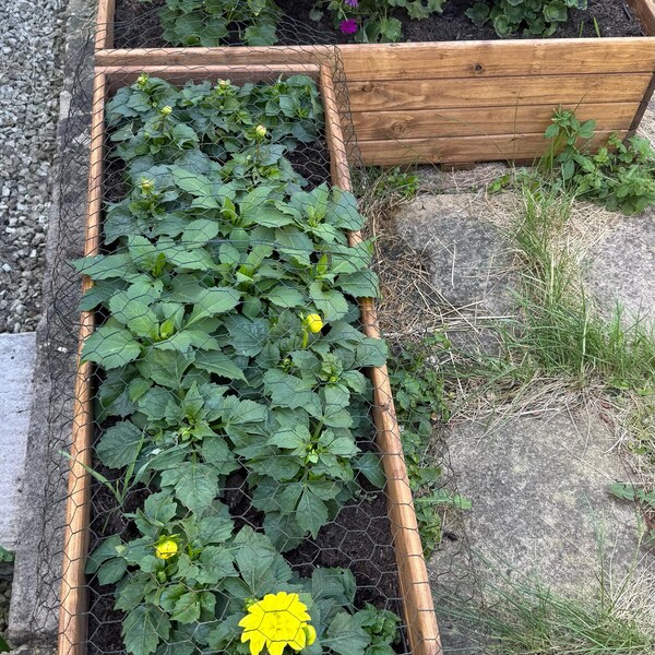 Charles Taylor Extra Large Open Trough L395xw1030xh300mm - Etsy UK