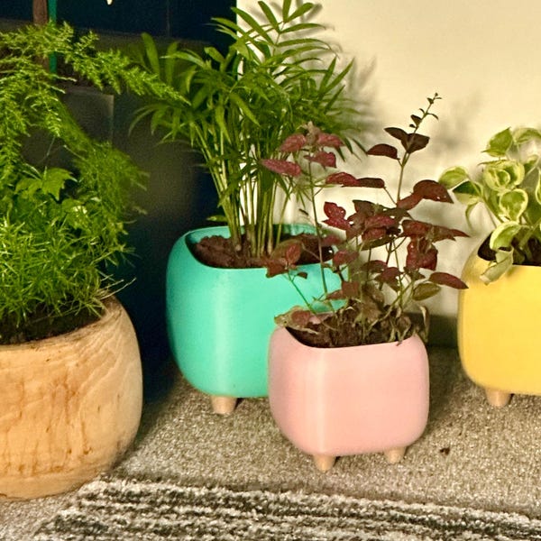 Pastel Coloured, Rounded Cube Pot, Planter, Pot With Feet, Coloured Pot ...