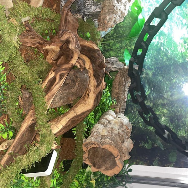 Reptile Climbing Chain/reptile Tank Enrichment/snake Climber/lizard ...