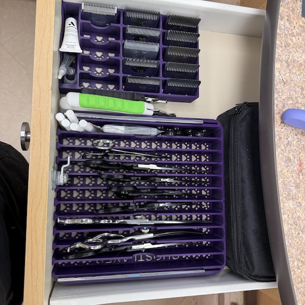 Kobalt Mini Toolbox Bottom Drawer Organizer (two Drawer and Three ...