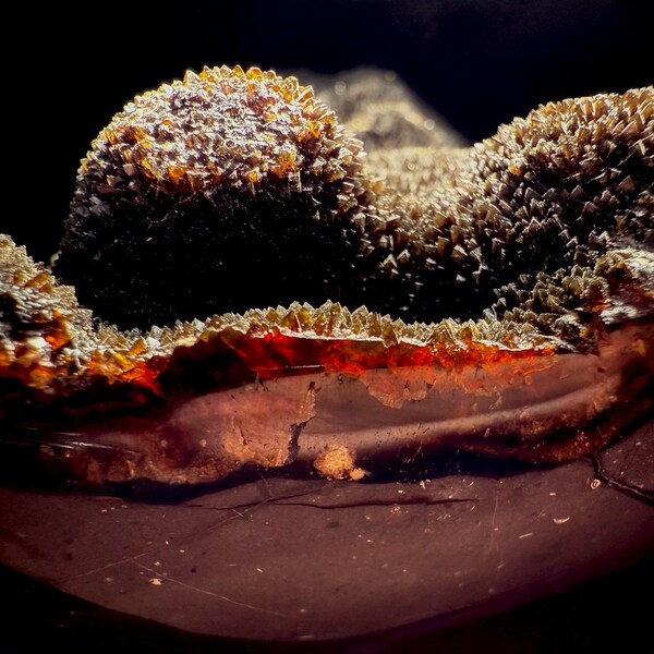 Extra Large Ribbon Jasper Freeform With Autumn Earthy Colors ...