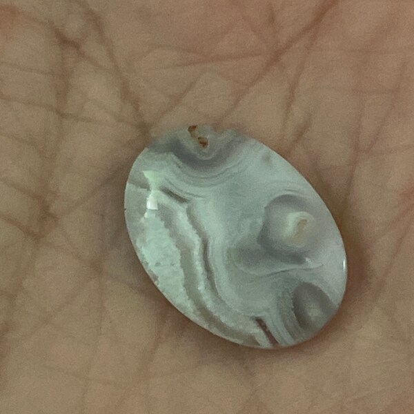 Stromatolite Collenia Undosa Fossil Proterozoic 2.1 B.y.o. 6.715cts ...