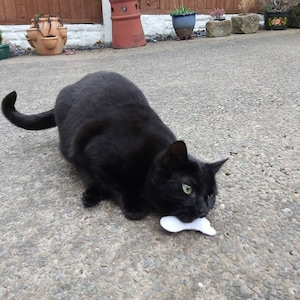 Magical Purple Moon Cat Toy With White Embroidered Stars - Etsy