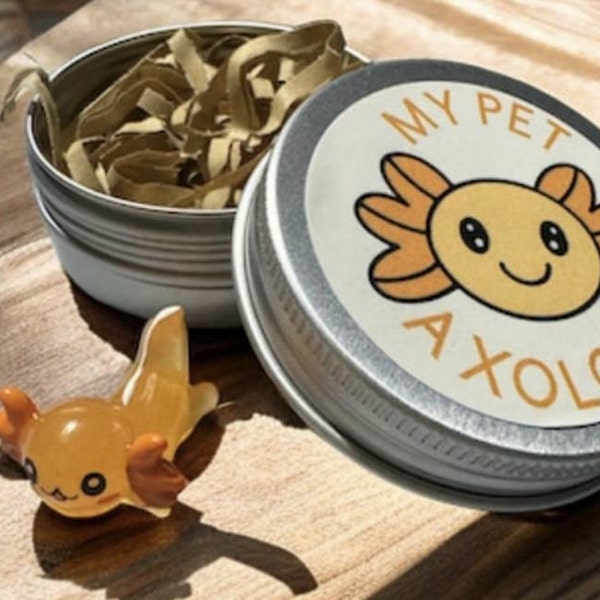 100 Duck Challenge Kit, Hide-a-duck Kit, Miniature Duck Scavenger Hunt ...