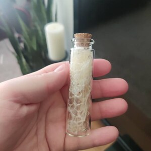 Pet Rats Silicone Squishy Lot of 4 WAVE 1 - Etsy