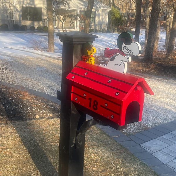 Snoopy and Woodstock Mailbox With House Numbers - Etsy