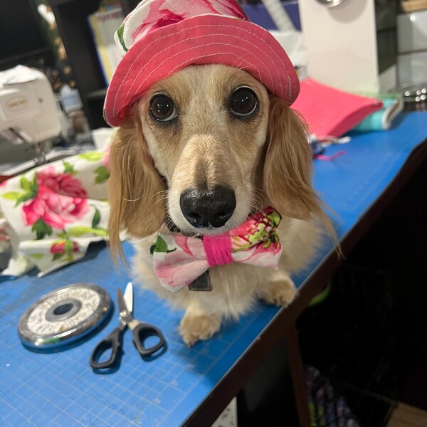 Bucket Hat Sewing Pattern for Dog - Sewing Pattern Pdf - Language ...