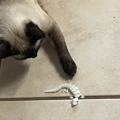 Kitty Lizard Articulated Cat Toy - Etsy