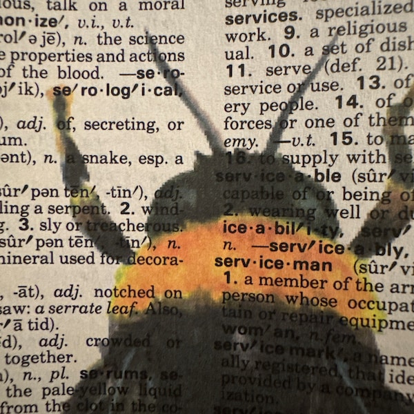 Bug/insect Themed Dictionary Prints - Etsy