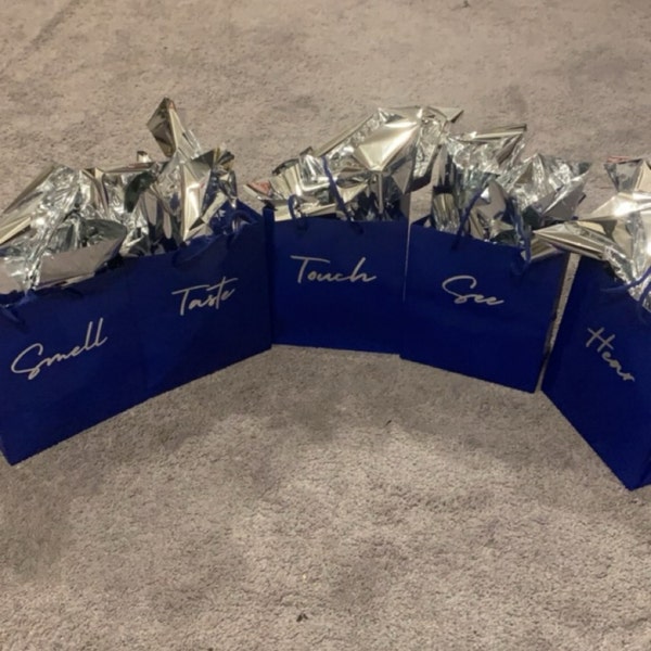 5 Senses Gift Bags - 7.75x9.5in - Etsy