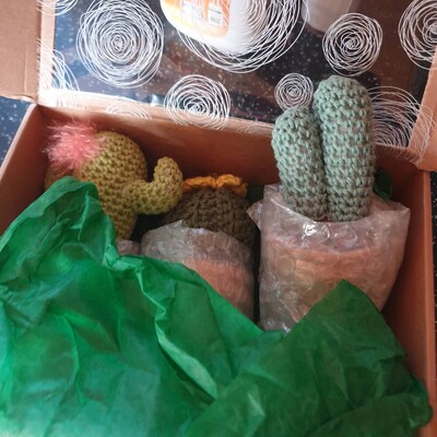 Crochet Cacti Pattern, Cacti Pattern, Crochet Pattern, Mini Cacti - Etsy