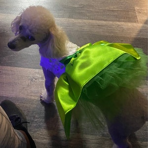 Star Spangled Girl Dog Harness Dress Xxsmall to 4xlarge Dog - Etsy