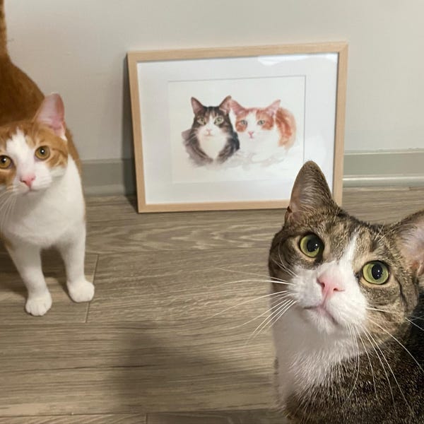 Mini Pet Portraits - Hand Sketched and Painted, Made to Order Custom ...