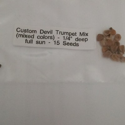 Custom Devil Trumpet Mix datura Bush Seed 15 Seeds - Etsy