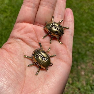 Brass Insect Figurines Pack - Etsy